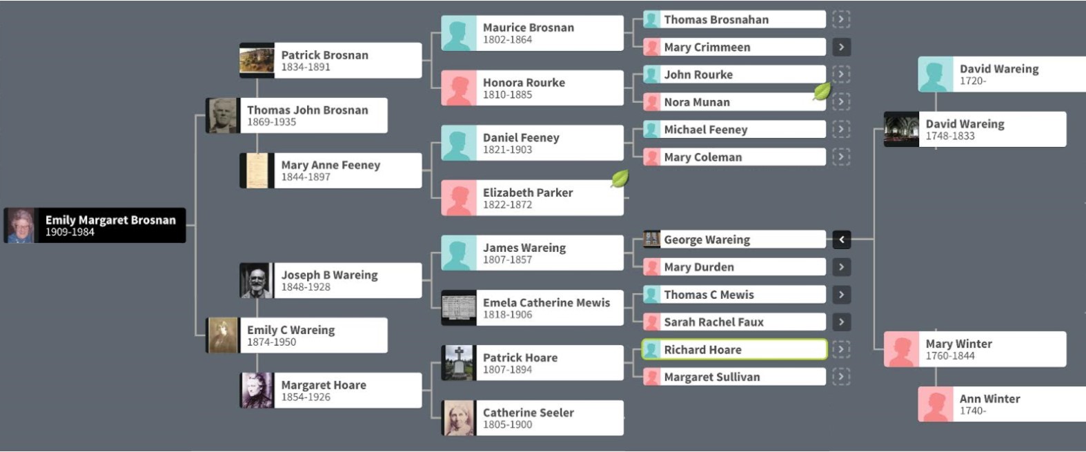 David Wareing & Mary Winter – Our Golden Pioneers